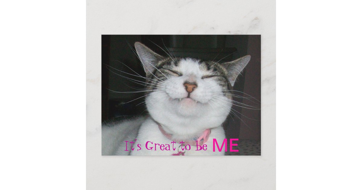It's Great to be Me Postcard | Zazzle
