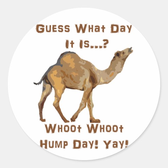 Its Hump Day Classic Round Sticker | Zazzle.com