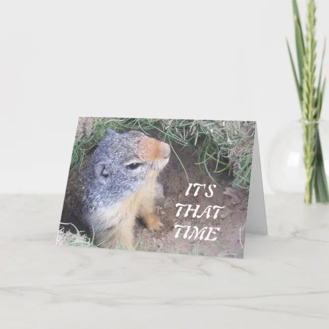 It's that Time Happy Groundhog's Day card | Zazzle