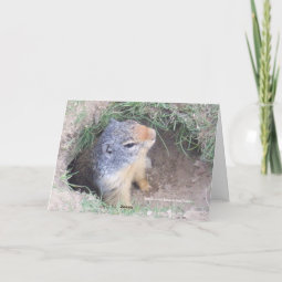 It's that Time Happy Groundhog's Day card | Zazzle