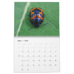 It's the Beetles! Insect Calendar | Zazzle
