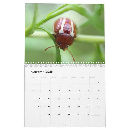 It's the Beetles! Insect Calendar | Zazzle