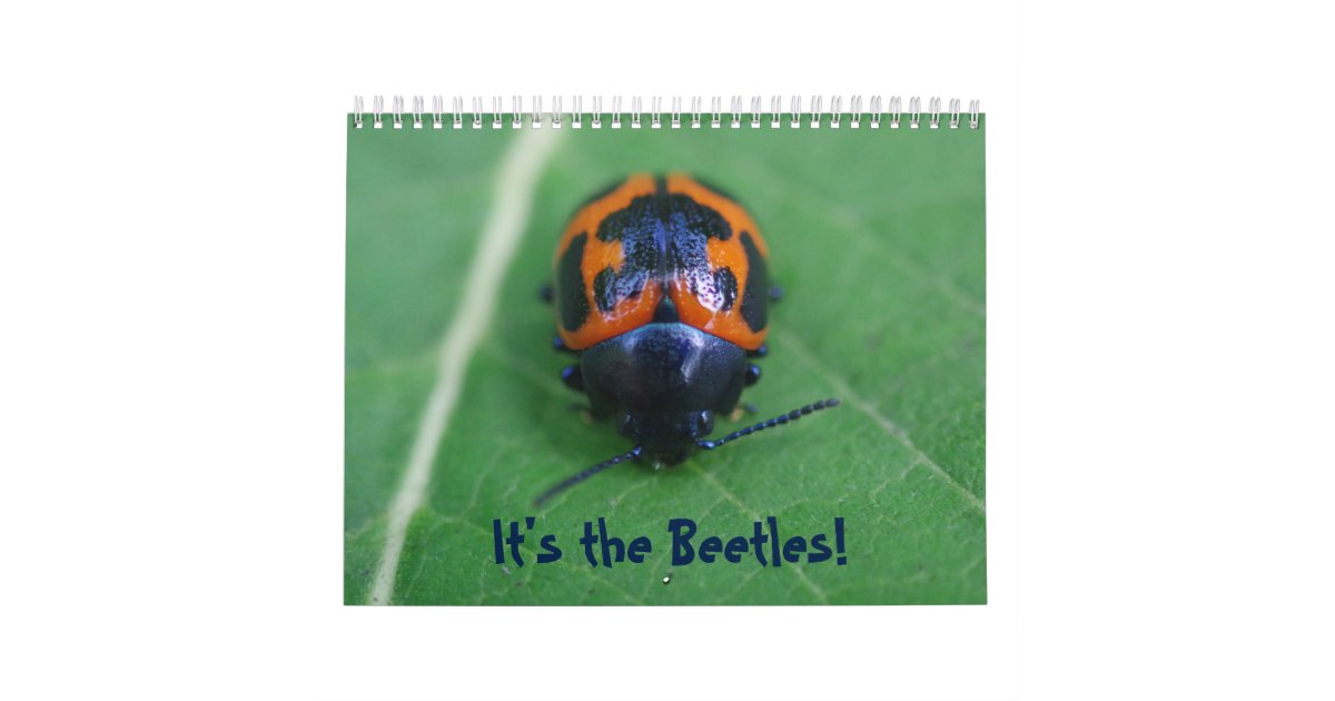 It's the Beetles! Insect Calendar | Zazzle