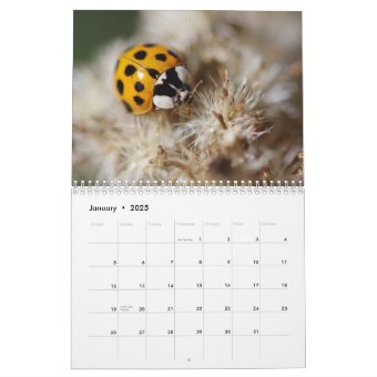 It's the Beetles! Insect Calendar | Zazzle