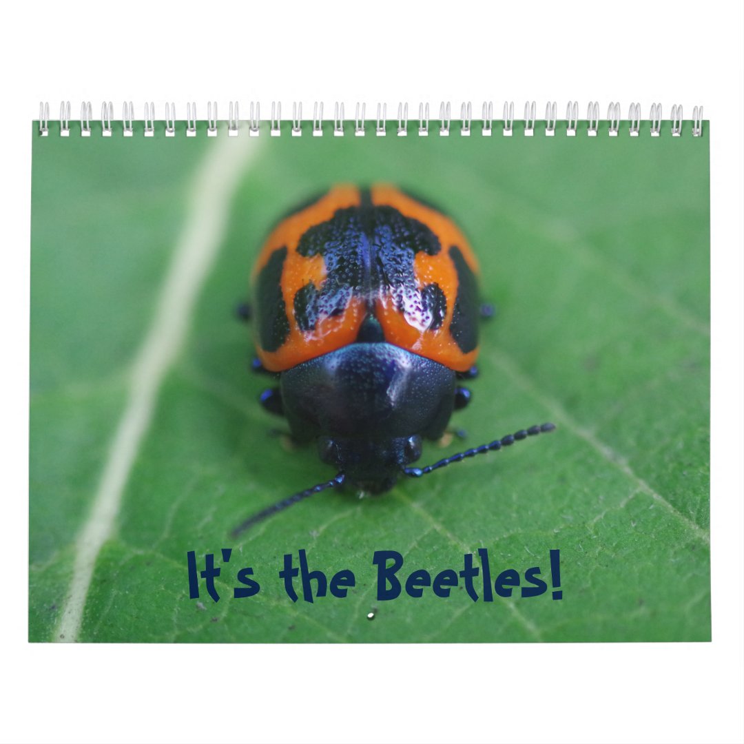 It's the Beetles! Insect Calendar | Zazzle