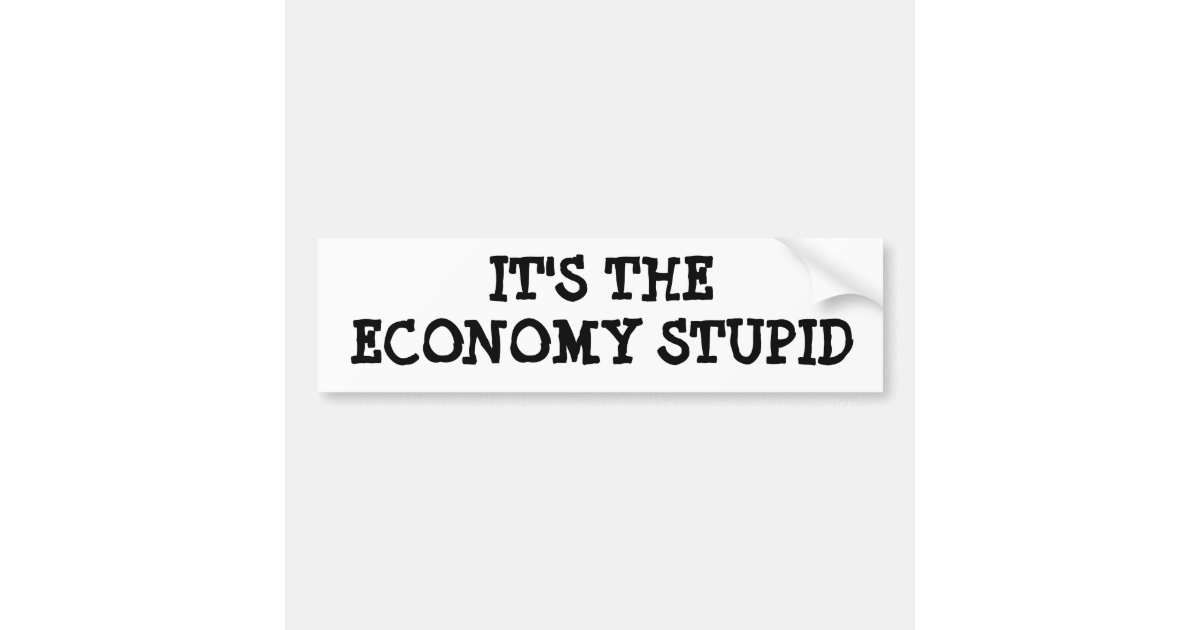 IT'S THE ECONOMY STUPID BUMPER STICKER | Zazzle