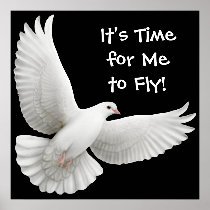 Its Time for Me to Fly Dove Poster | Zazzle