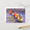 It's time to line up your Ducks in a Row Postcard | Zazzle