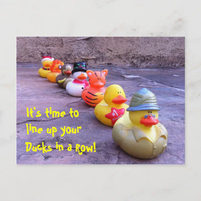 It's time to line up your Ducks in a Row Postcard | Zazzle