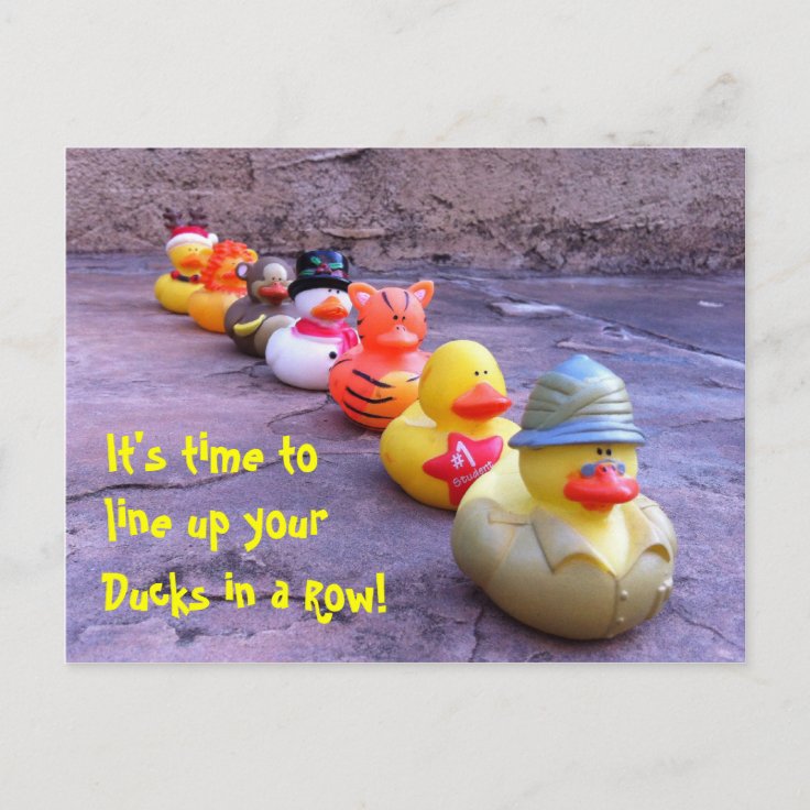 It's time to line up your Ducks in a Row Postcard | Zazzle