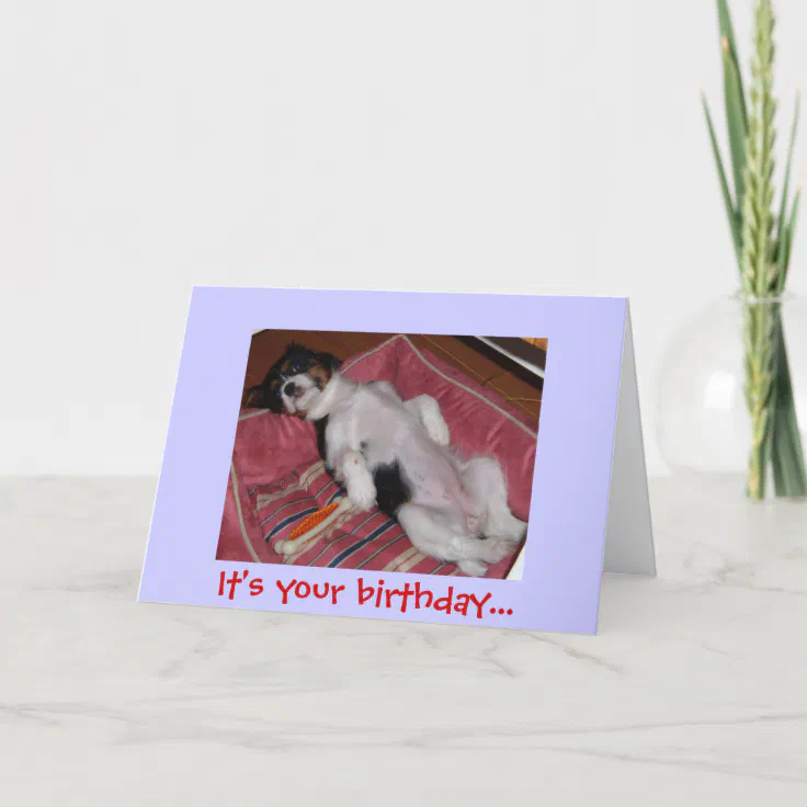 It's your birthday... card | Zazzle