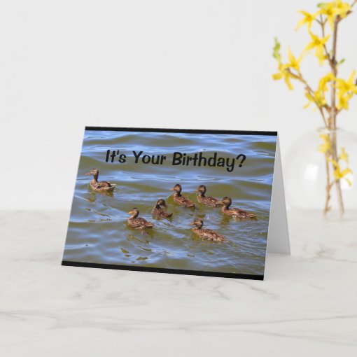 It's Your Birthday? Well That's Just Ducky! Card | Zazzle