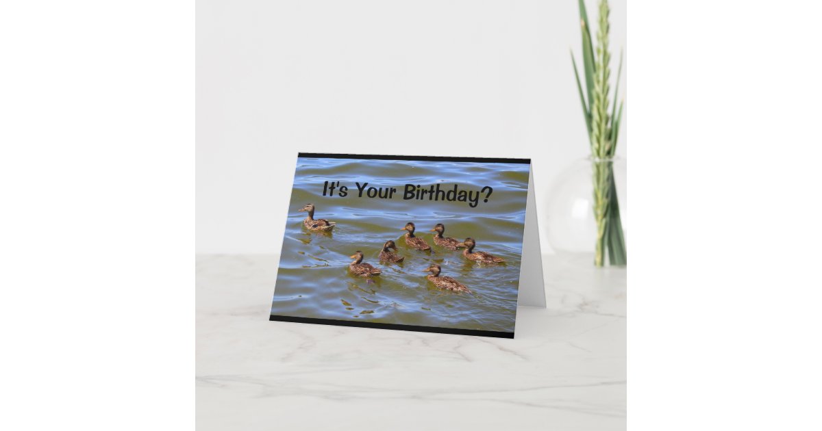 It's Your Birthday? Well That's Just Ducky! Card | Zazzle