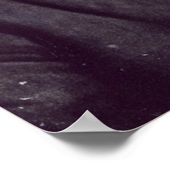 Ivan Petrovich Pavlov Poster | Zazzle