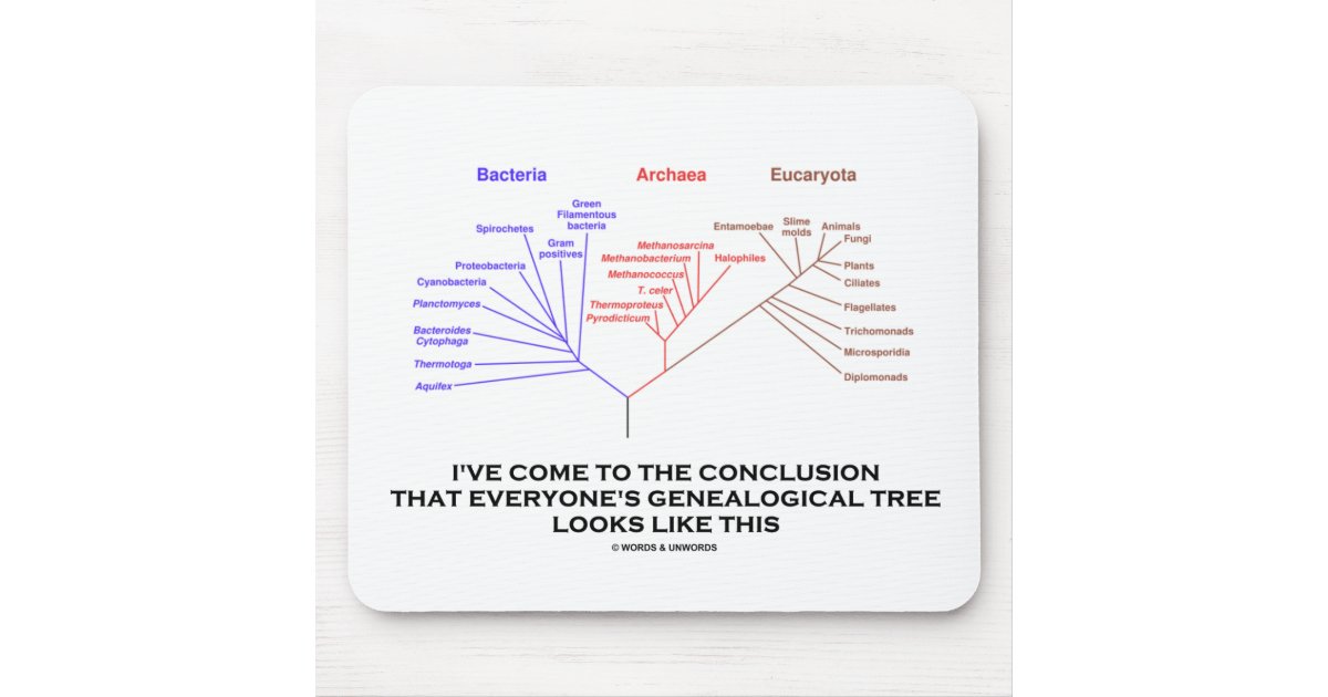 I've Come To The Conclusion Genealogical Tree Mouse Pad | Zazzle
