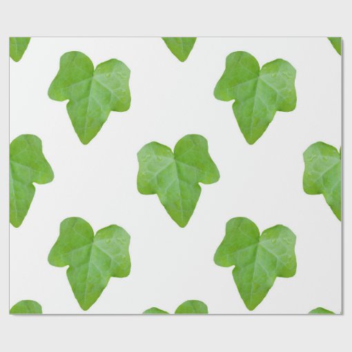 Ivy Leaf Pattern Wrapping Paper | Zazzle