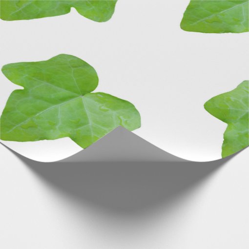 Ivy Leaf Pattern Wrapping Paper | Zazzle