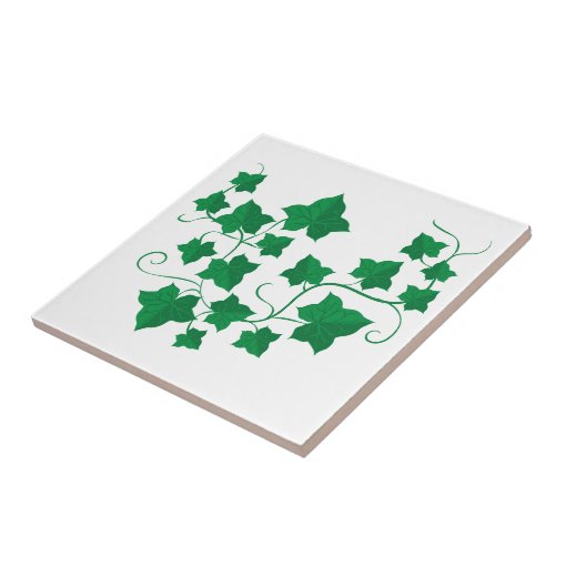 Ivy Vines Ceramic Tile | Zazzle
