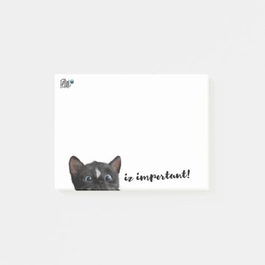 iz important! Post Its by Felini Post-it Notes | Zazzle.com