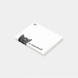 iz important! Post Its by Felini Post-it Notes | Zazzle