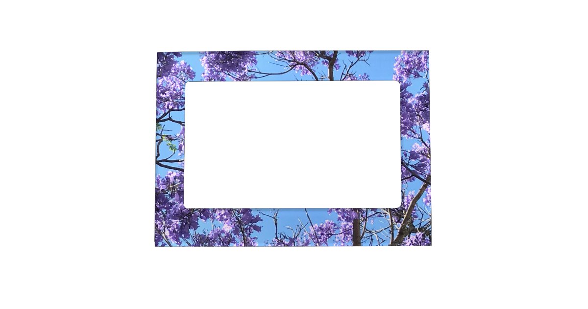 Jacaranda Blossoms Magnetic Frame | Zazzle