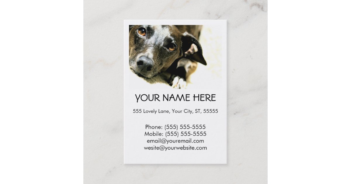 Jack Business Card | Zazzle