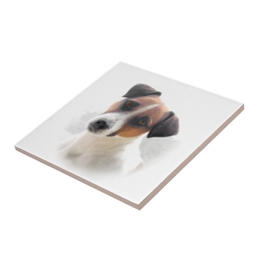 Jack Russel Terrier Tile | Zazzle