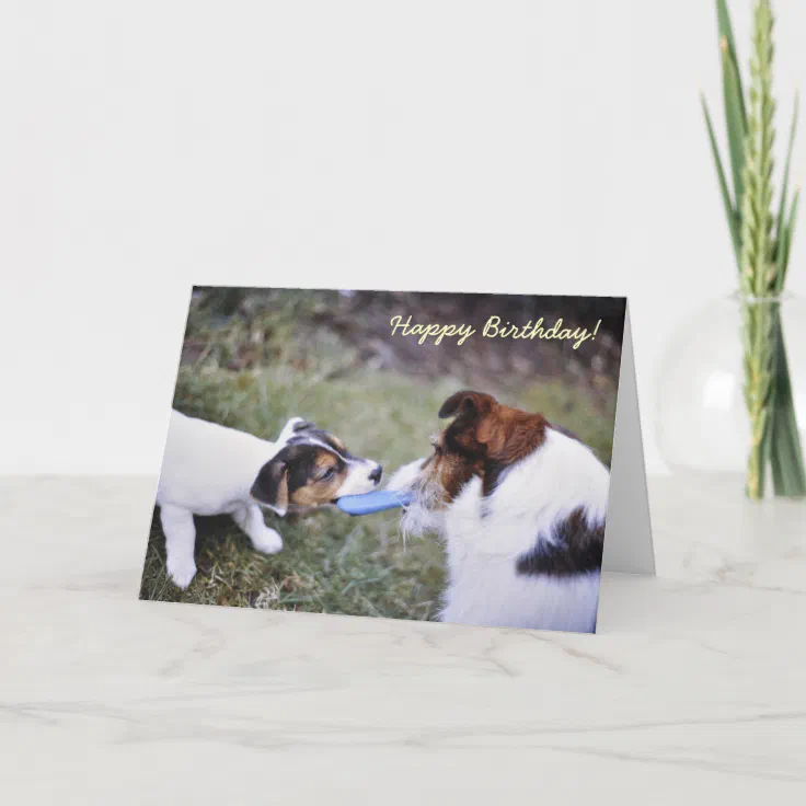 Jack Russell birthday card | Zazzle