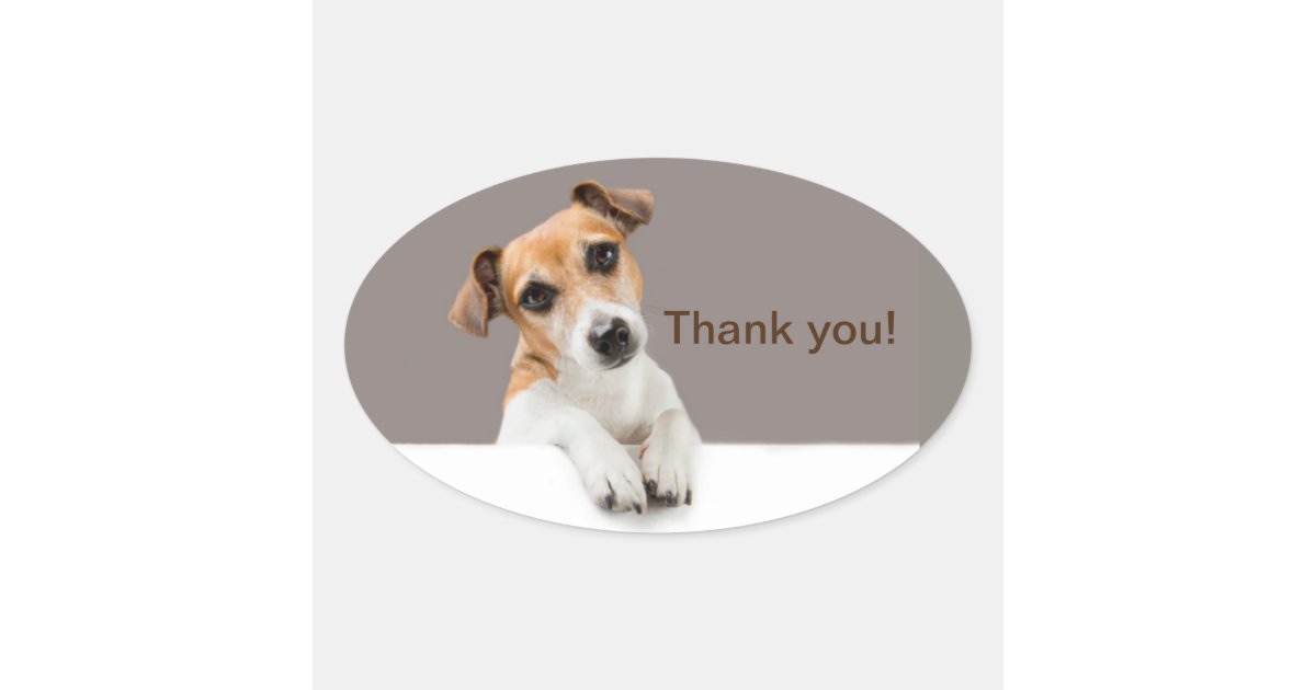 Jack Russell Puppy Sweet Adorable Thank You Oval Sticker | Zazzle
