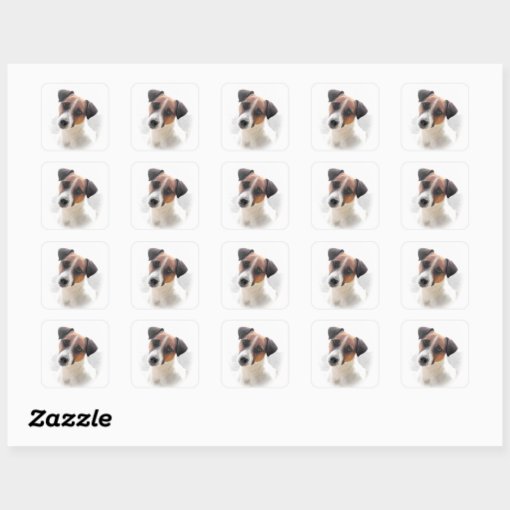 Jack Russell sheet of Stickers | Zazzle