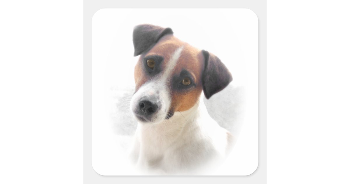Jack Russell sheet of Stickers | Zazzle
