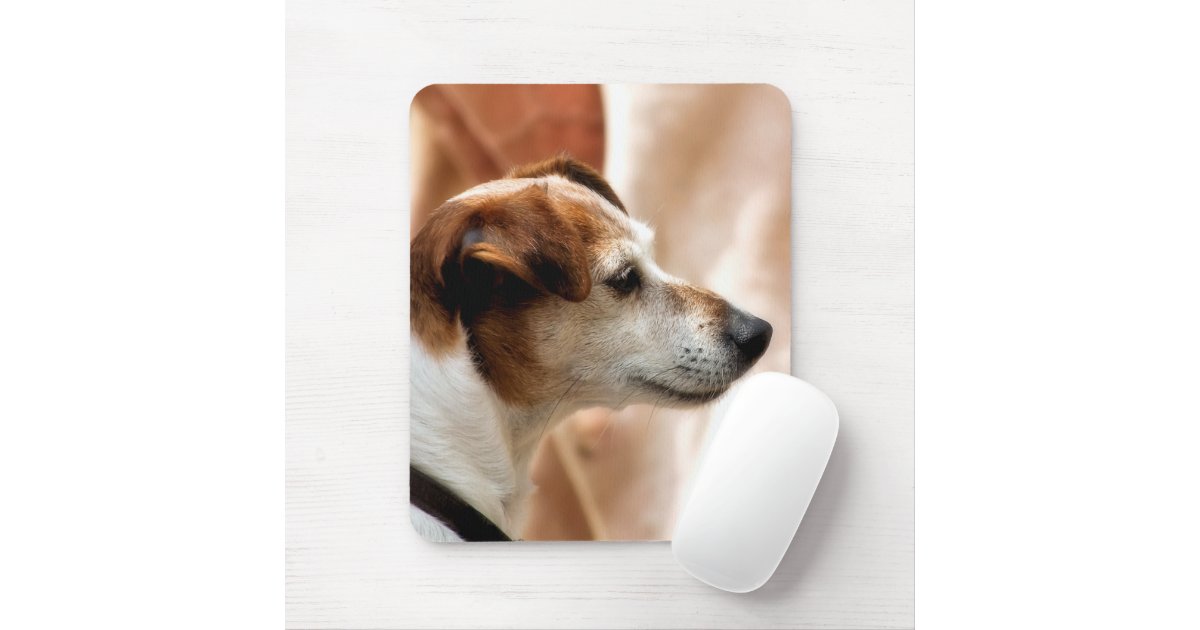 JACK RUSSELL TERRIER DOG MOUSE PAD | Zazzle