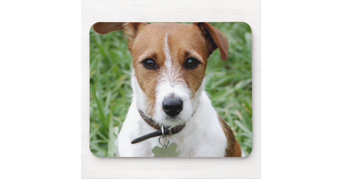 Jack Russell Terrier Mouse Pad | Zazzle