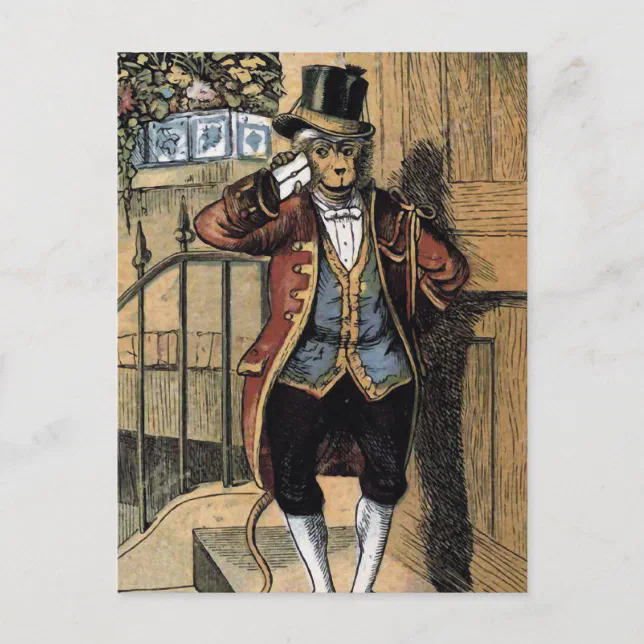 Jacko the Monkey Vintage Illustration Postcard | Zazzle