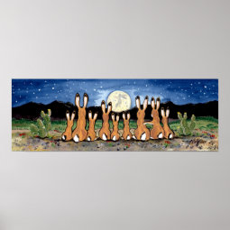 Jackrabbit Rabbit Family Desert Moon Night Poster | Zazzle