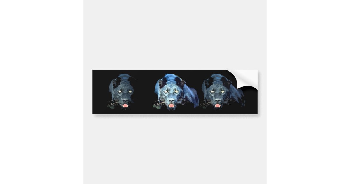Jaguar - Black Panther Bumper Sticker | Zazzle