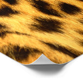 Jaguar Fur Poster | Zazzle