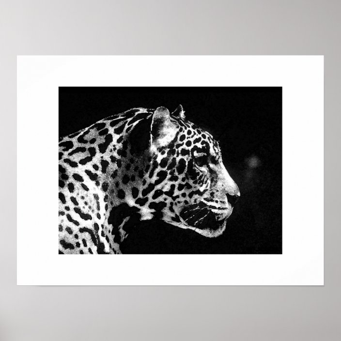 Jaguar Pop Art Poster Print - Jaguar Posters | Zazzle.com