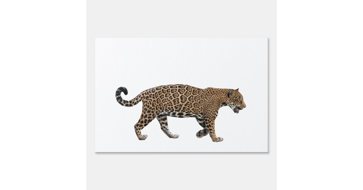 Jaguar Yard Sign | Zazzle