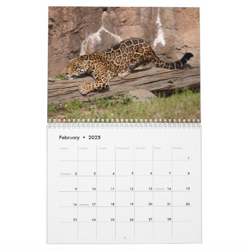 Jaguars Calendar, Jaguars Calendar | Zazzle