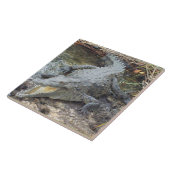 Jamaican Salt Water Crocodile Tile | Zazzle