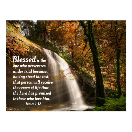 James 1:12 Blessed is the one who perseveres Bible Postcard | Zazzle.com