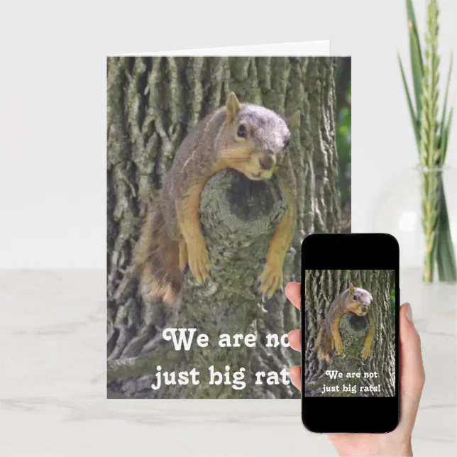 January 21st is National Squirrel Appreciation Day Card | Zazzle