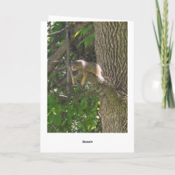 January 21st is National Squirrel Appreciation Day Card | Zazzle