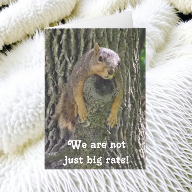 January 21st is National Squirrel Appreciation Day Card | Zazzle