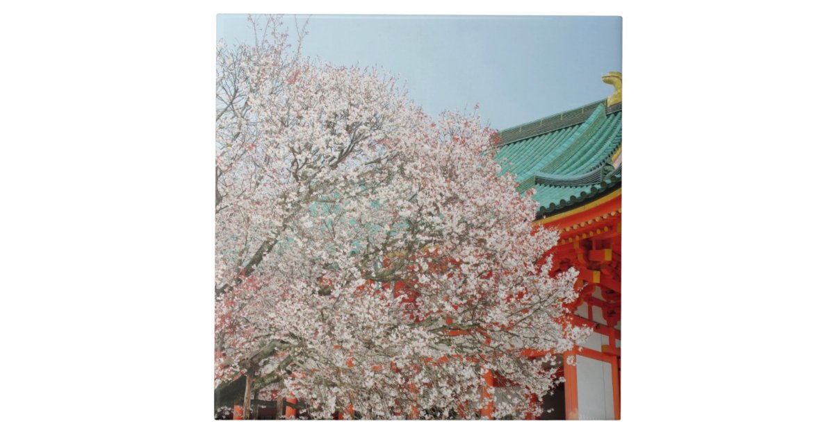 Japan, Kyoto. Cherry blossom of Shinto Ceramic Tile | Zazzle