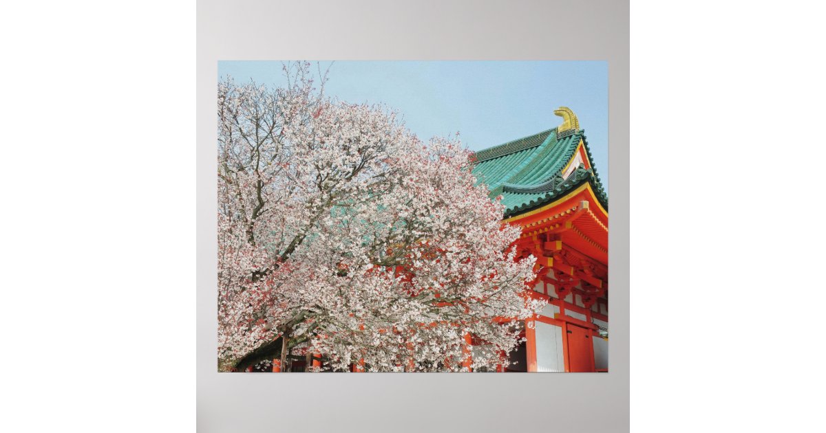 Japan, Kyoto. Cherry blossom of Shinto Poster | Zazzle