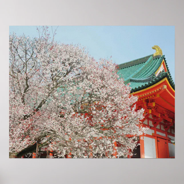 Japan, Kyoto. Cherry blossom of Shinto Poster | Zazzle