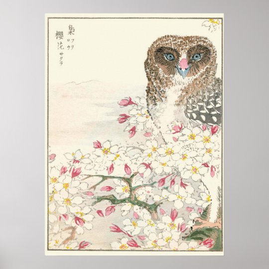Japan Owl Vintage Print | Zazzle.com