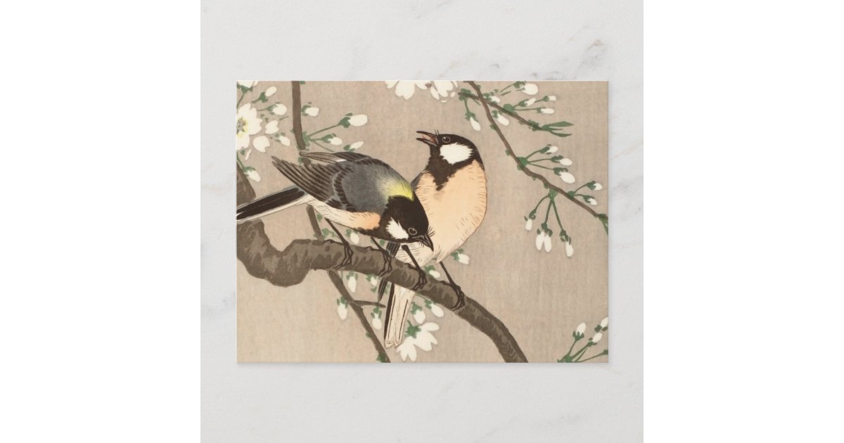 Japanese Asian Koson Bird Chickadee Songbird Postcard | Zazzle